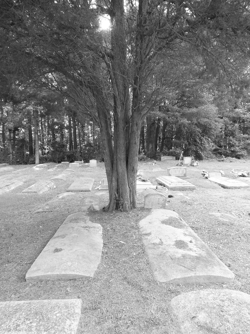 Old Field Church Cemetery – Church Creek | Dorchester Graves
