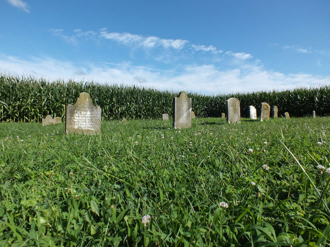 Family Plots | Dorchester Graves