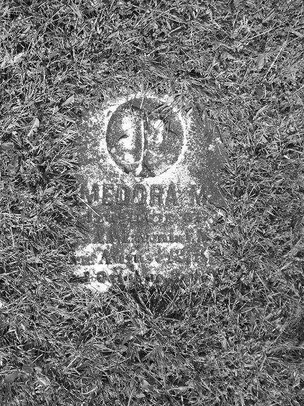 Foxwell Family Burial Ground | Dorchester Graves
